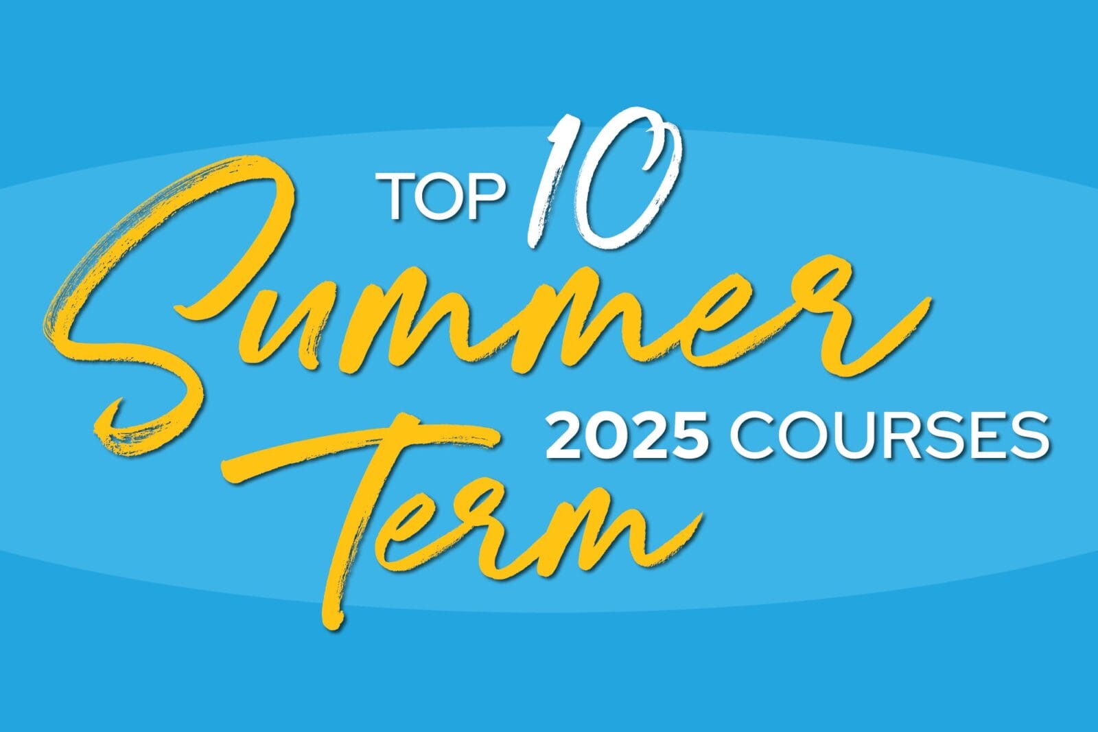Blog | Summer Term